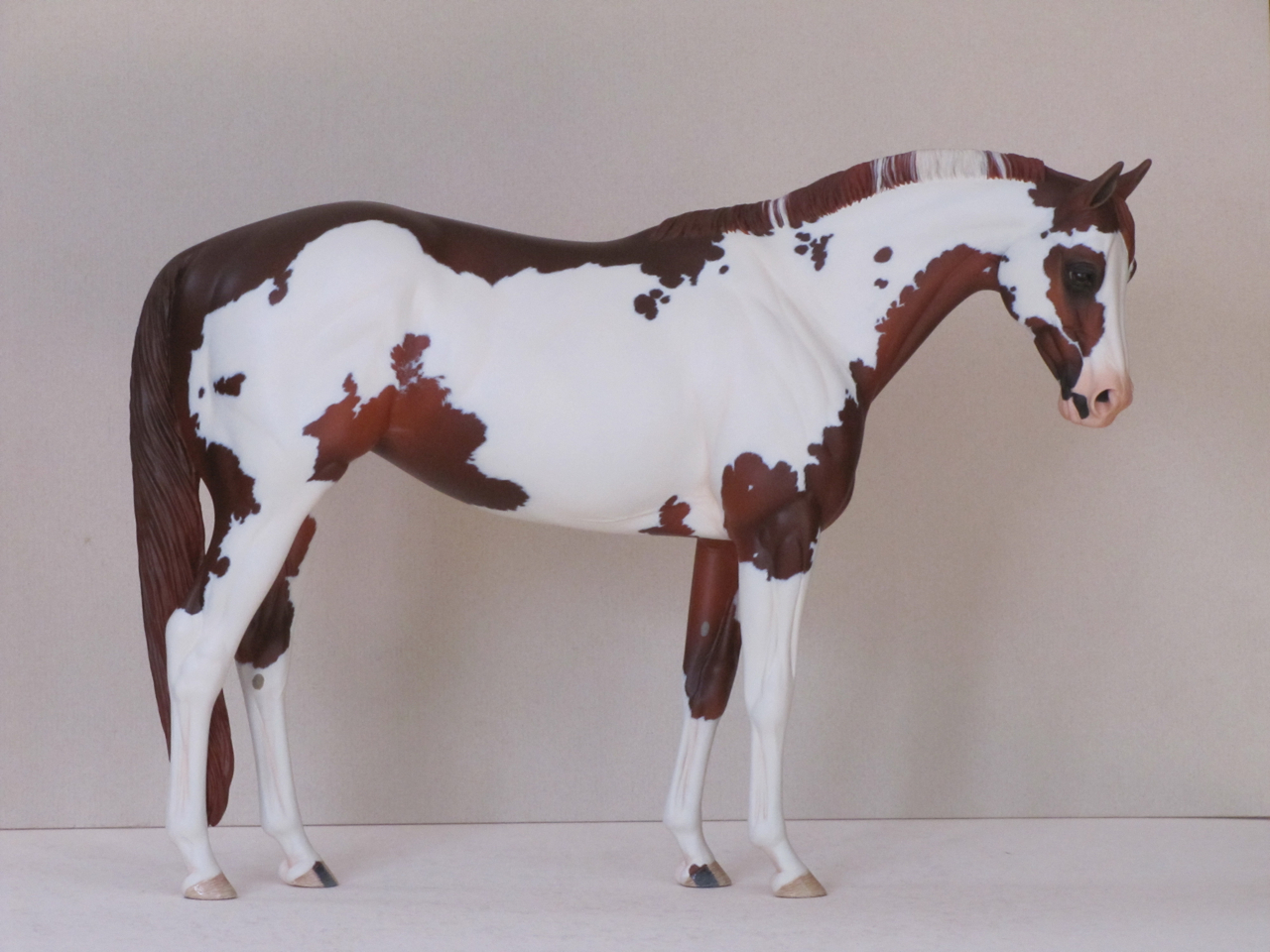Victrix – overo – Equine Art by Heather Bullach