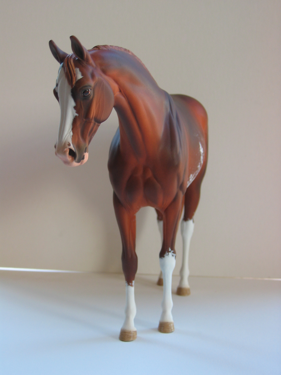 Victrix – sabino – Equine Art by Heather Bullach