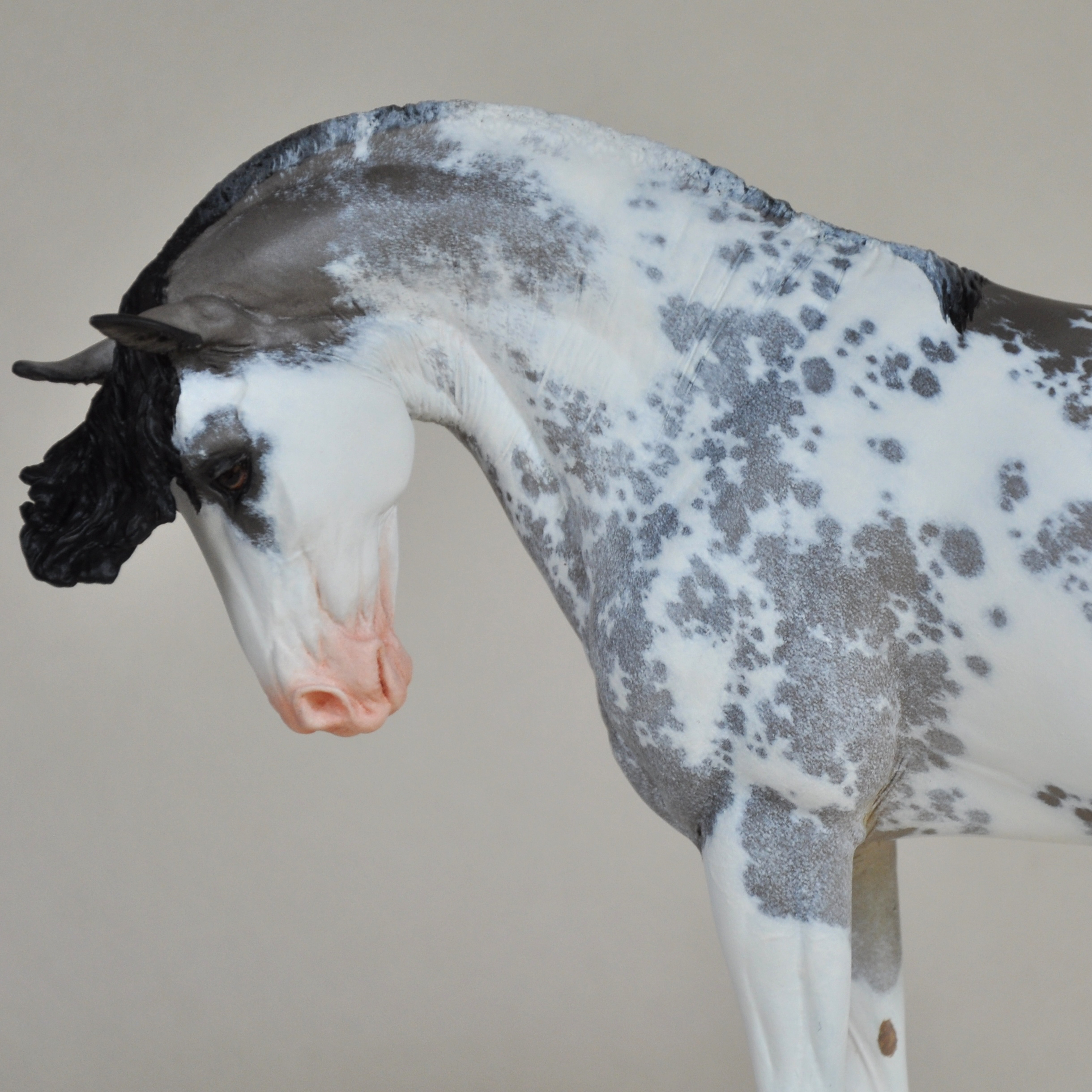 Maxixe de Barrios – Equine Art by Heather Bullach