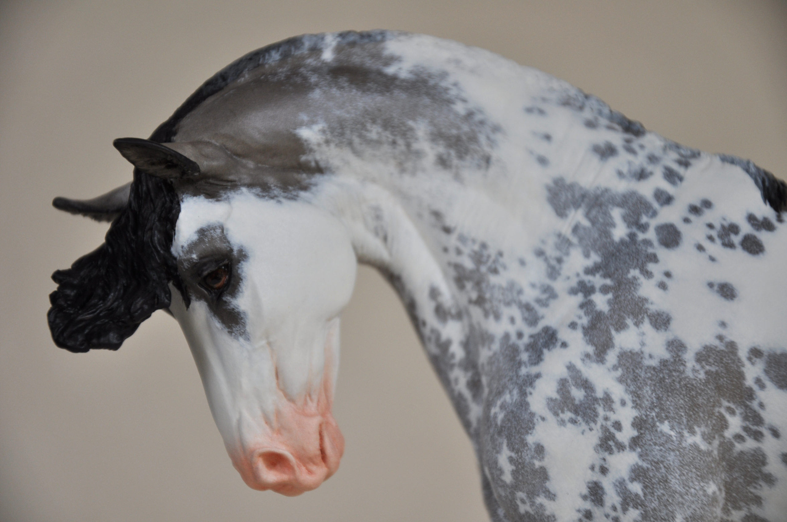 Maxixe de Barrios – Equine Art by Heather Bullach