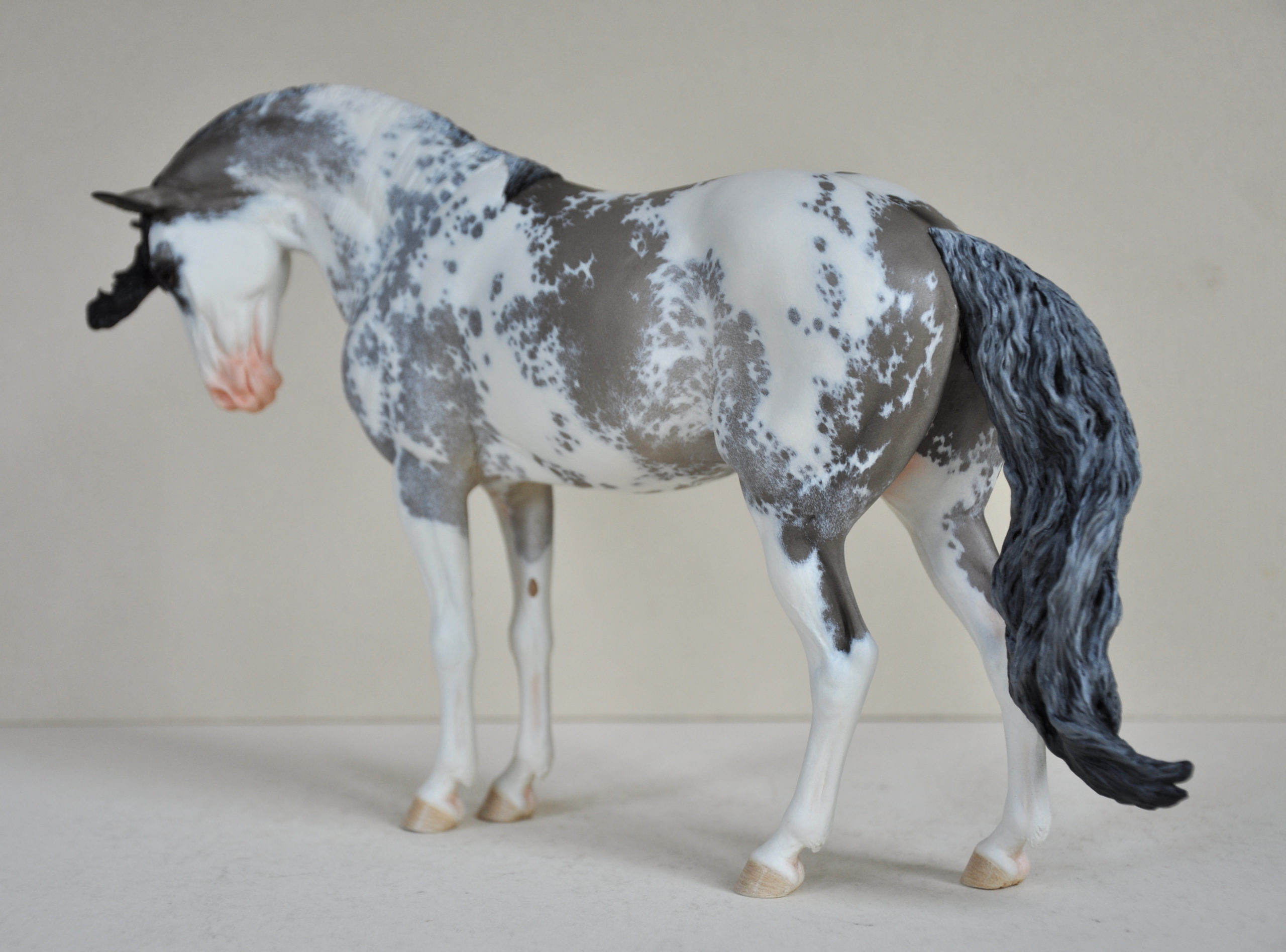 Maxixe de Barrios – Equine Art by Heather Bullach