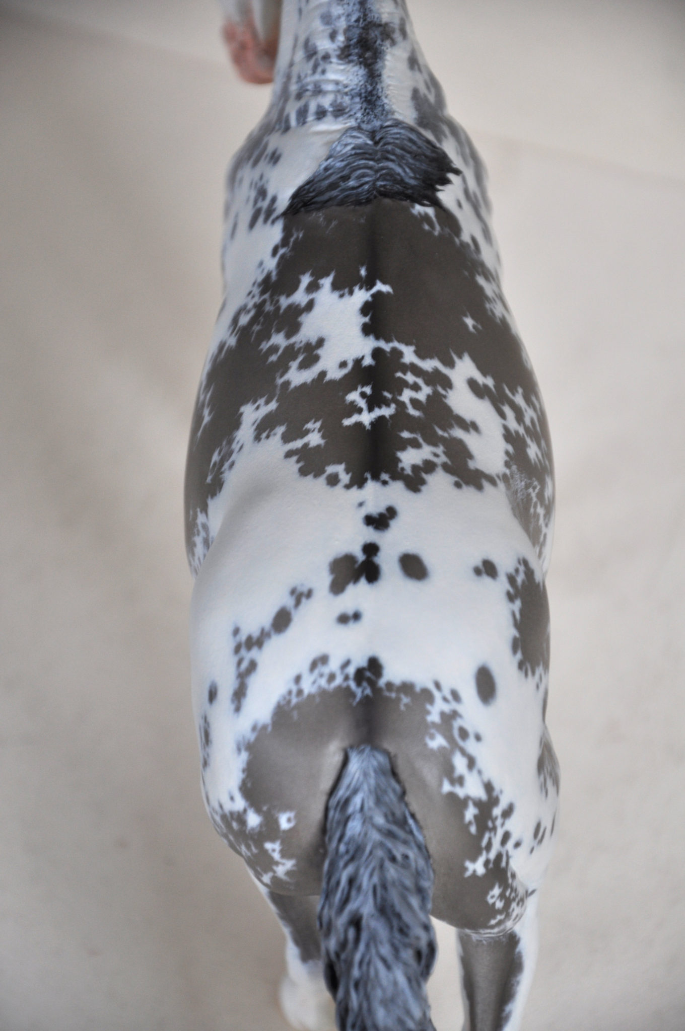 Maxixe de Barrios – Equine Art by Heather Bullach