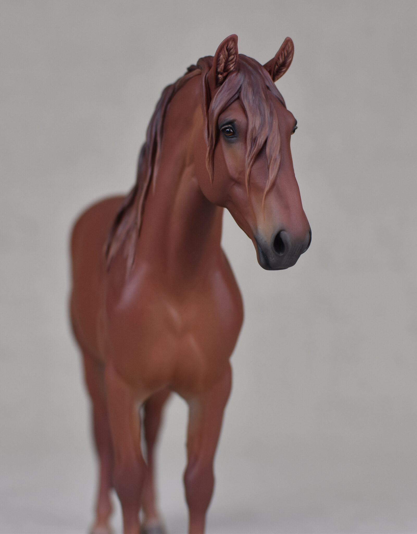 Ukko – Equine Art by Heather Bullach